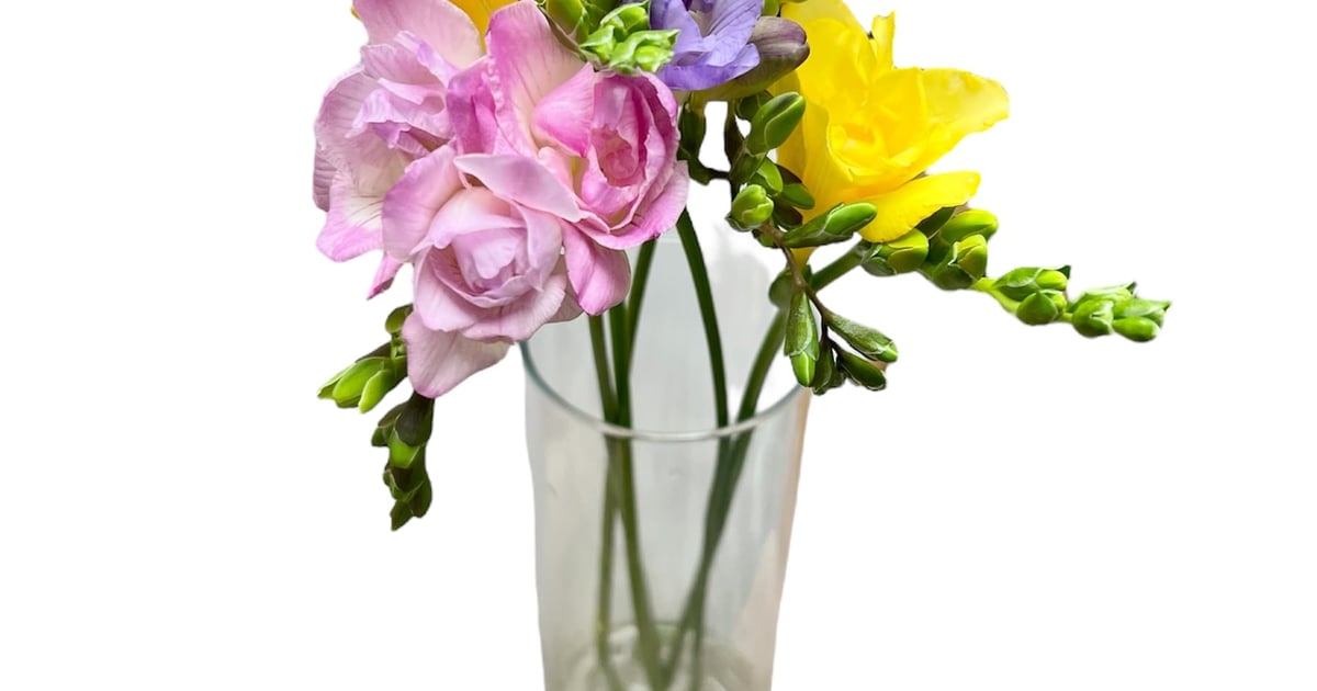 Nusy Flower Frézia csokor 5 szálas